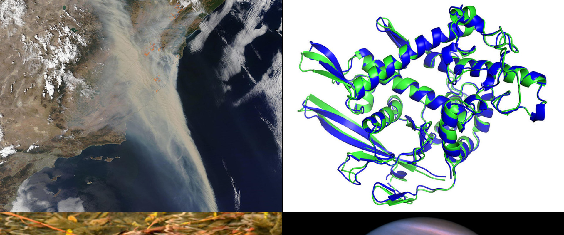 The Controversial World of Science News